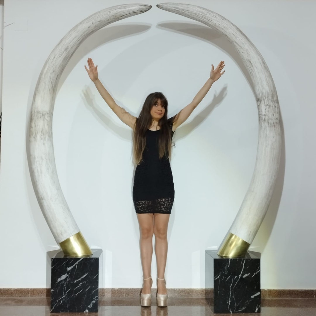 Giant Replica Elephant Tusks - Etsy