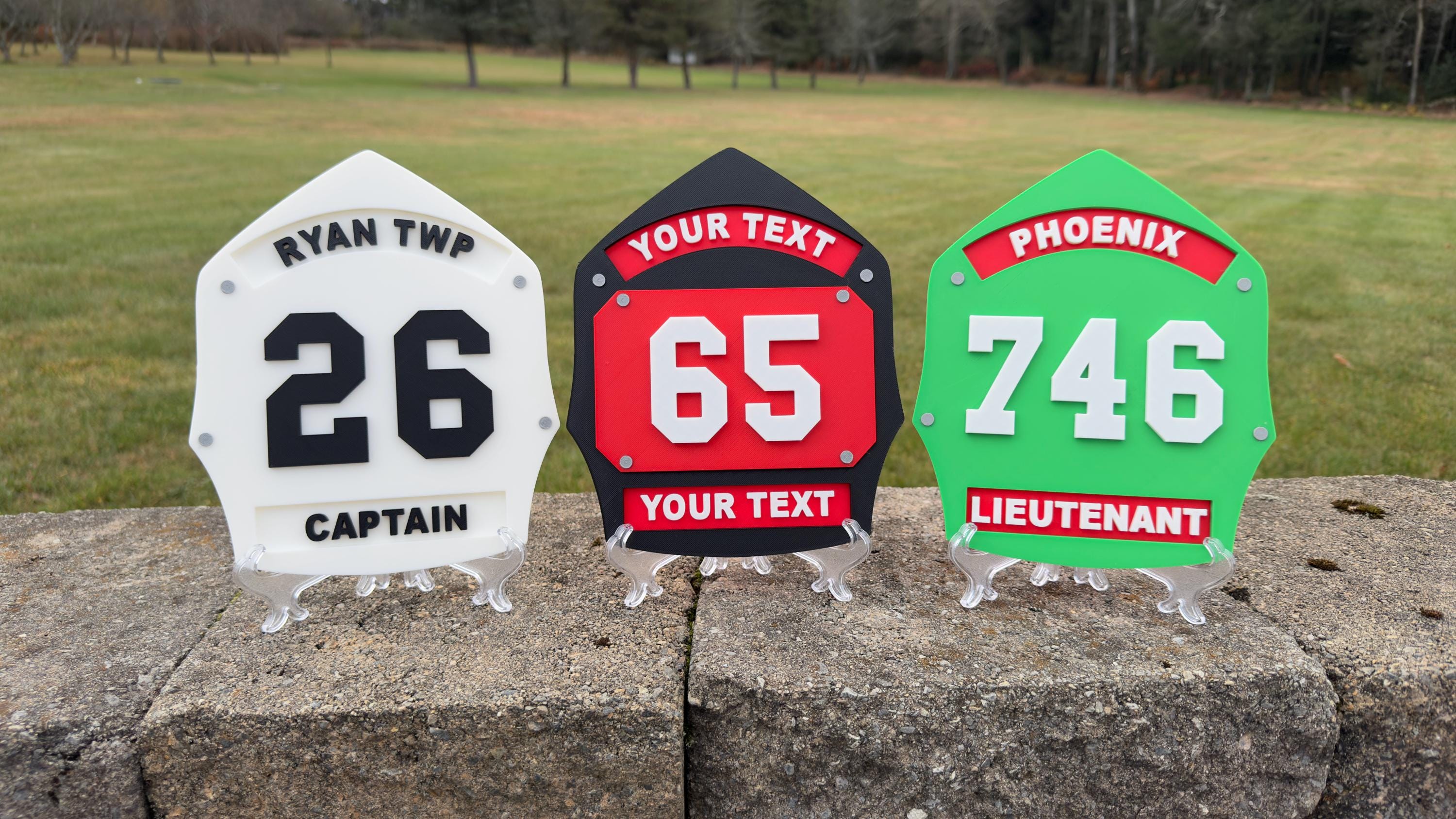 VOLLY Fire Helmet Shields 3D Display Replica - Etsy