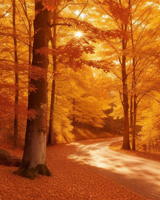 Fall Aesthetic Backgrounds-fall Themed Backgrounds and Wallpapers - Etsy