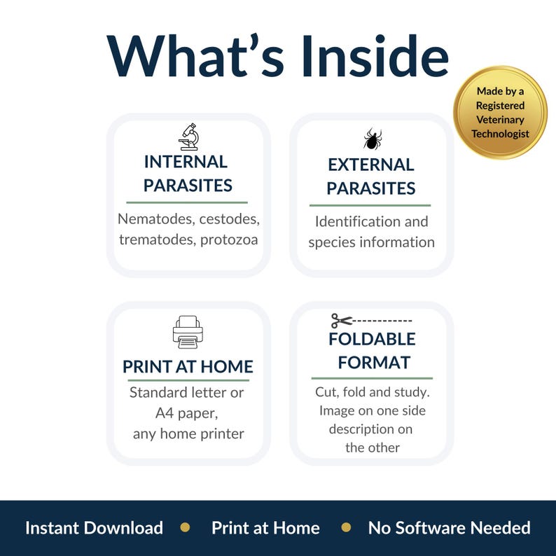 Canine Feline Parasite Identification Flashcards, Vet Tech VTNE Prep ...