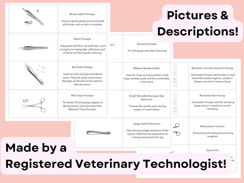 Veterinary & Human Medicine Basic Surgical Instrument Flashcards ...