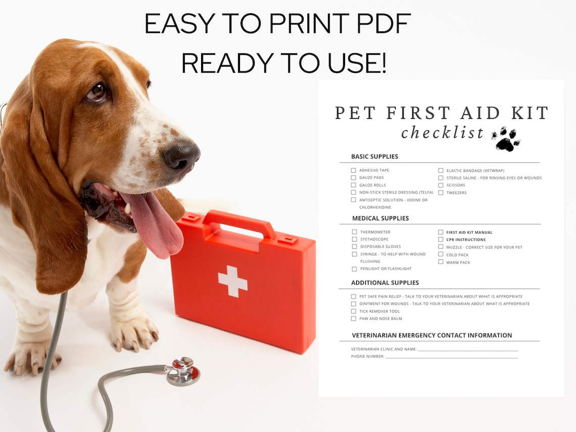 Essential Pet First Aid Kit Checklist PDF, Animal Care, Groomer ...