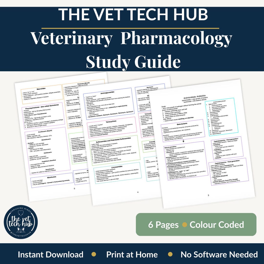 Veterinary Pharmacology Study Guide Vet Tech Nsaids Corticosteroids ...