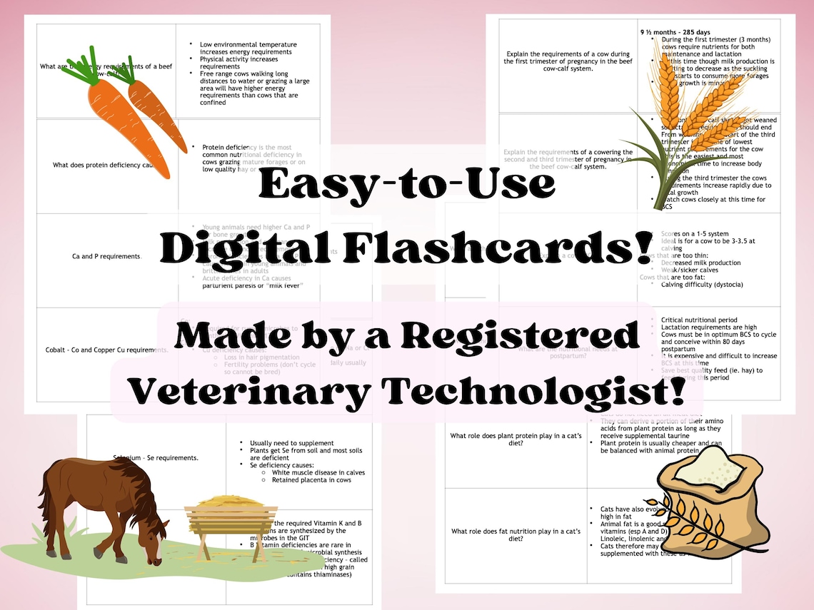 Vet Tech Nutrition Flashcards, VTNE Prep, Veterinary Medicine, Vet Tech ...