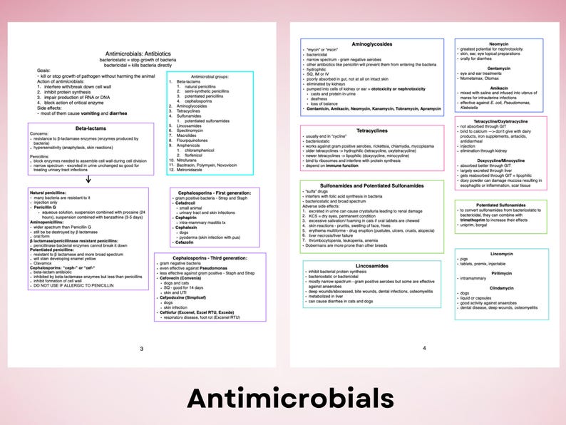 Veterinary Medicine Pharmacology Drug Chart, Vet Tech & Med Students ...