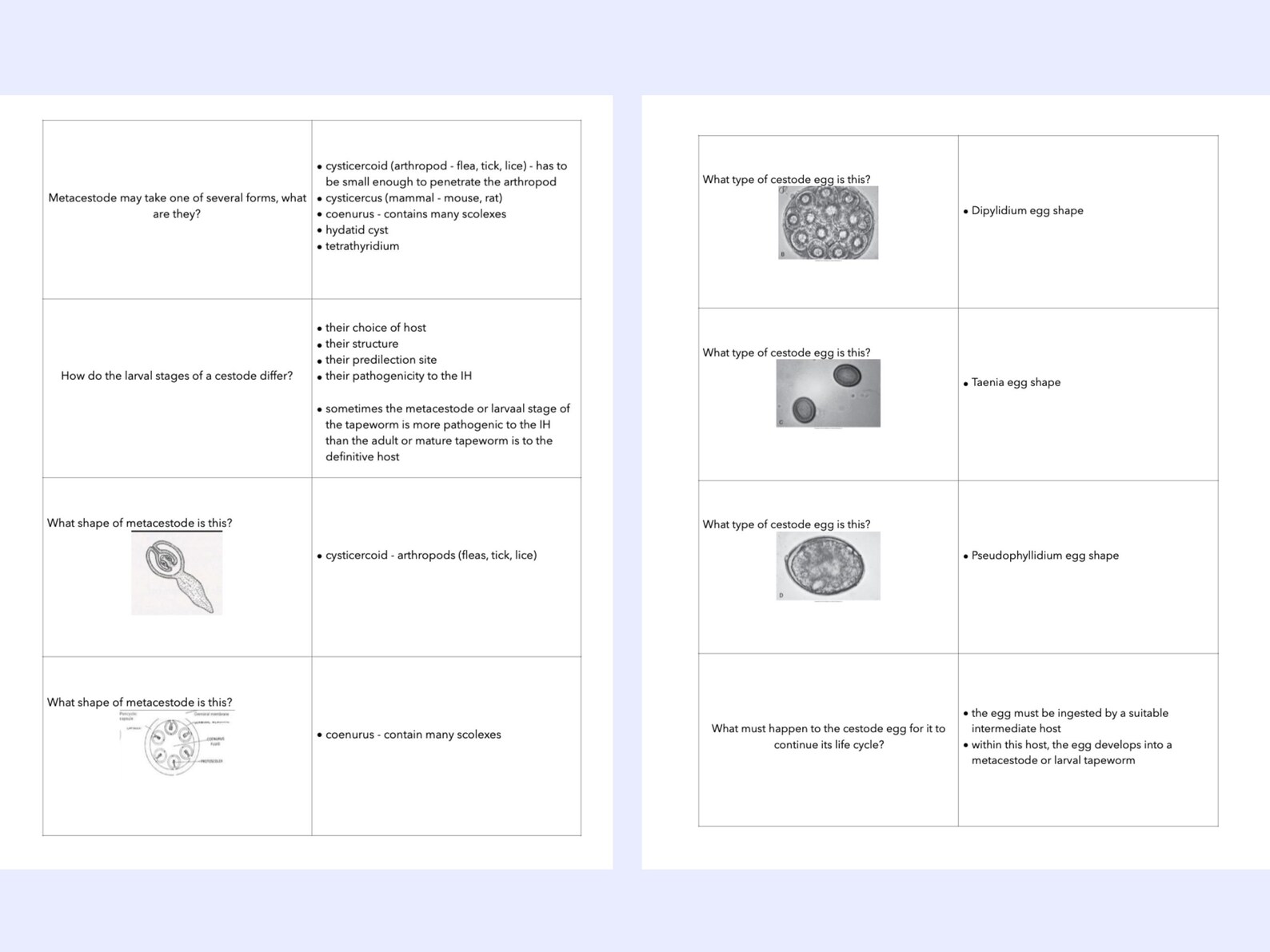 Vet Tech Complete Parasitology Flashcards With Images, VTNE, Veterinary ...