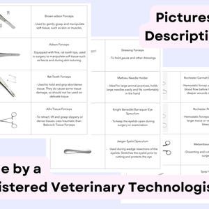 Veterinary & Human Medicine Basic Surgical Instrument Flashcards ...