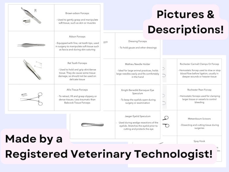 Veterinary & Human Medicine Basic Surgical Instrument Flashcards ...
