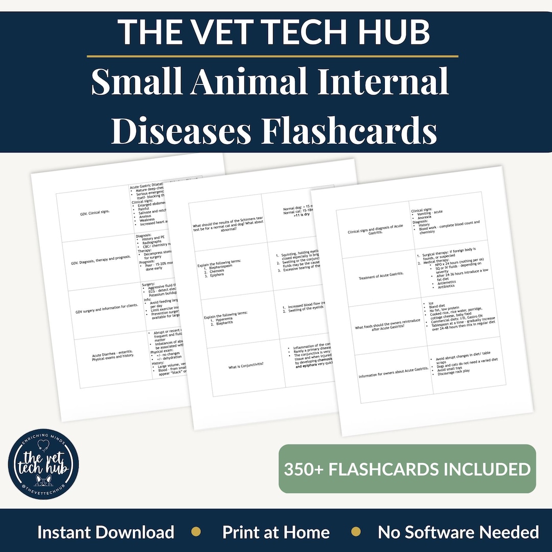 Animal Diseases Flashcards, Vet Tech VTNE Prep, Infectious Disease ...