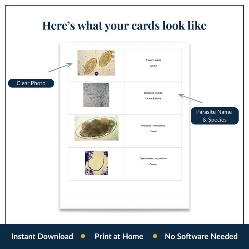 Canine Feline Parasite Identification Flashcards, Vet Tech VTNE Prep ...