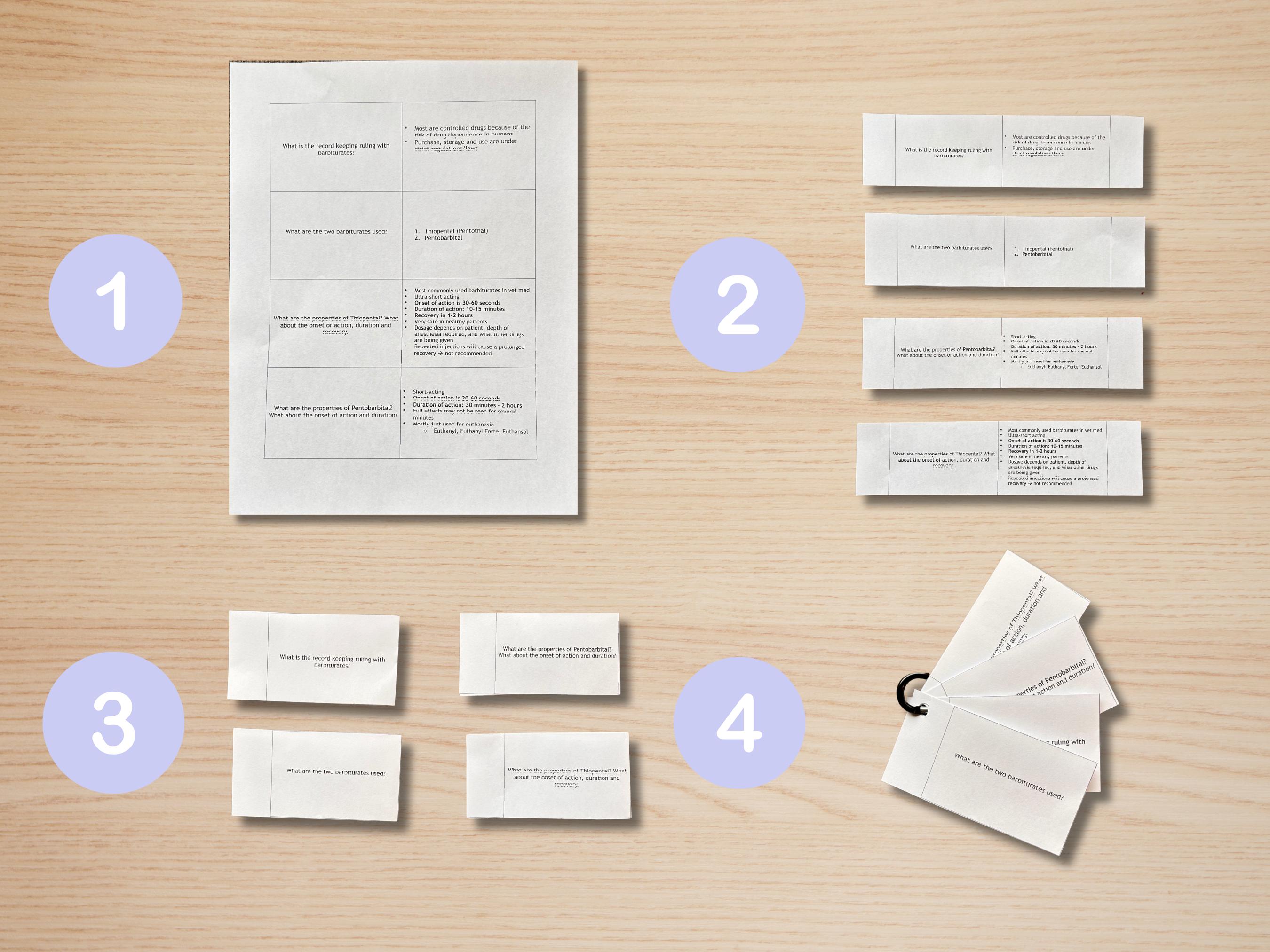 Vet Tech Complete Parasitology Flashcards With Images, VTNE, Veterinary ...