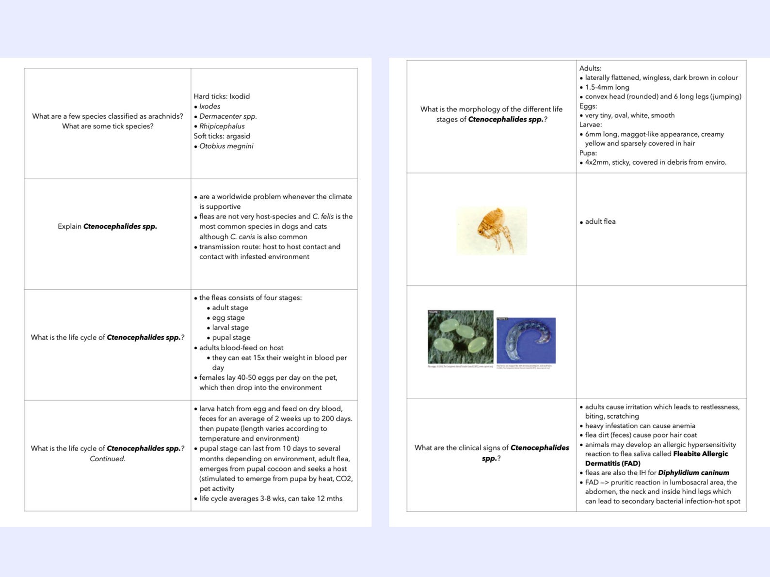 Vet Tech Complete Parasitology Flashcards With Images, VTNE, Veterinary ...
