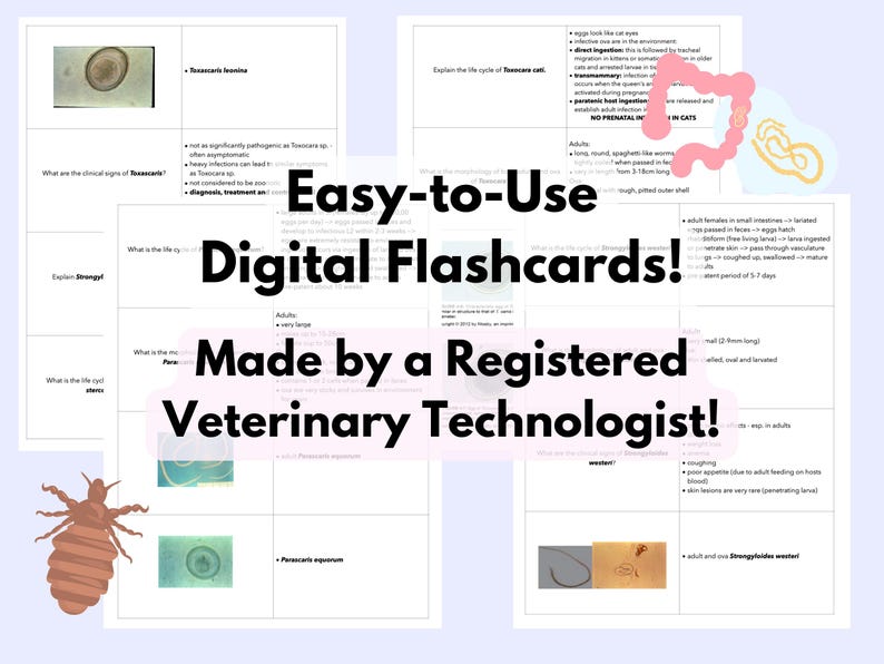 Vet Tech Complete Parasitology Flashcards With Images, VTNE, Veterinary ...