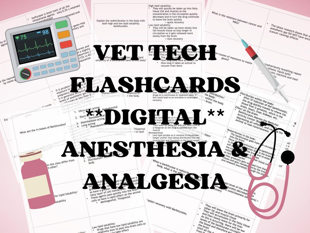 Vet Tech Anesthesia and Analgesia Flashcards, Study Guide, VTNE Help ...