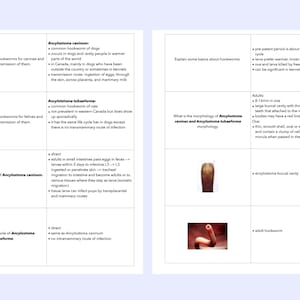 Vet Tech Complete Parasitology Flashcards With Images, VTNE, Veterinary ...