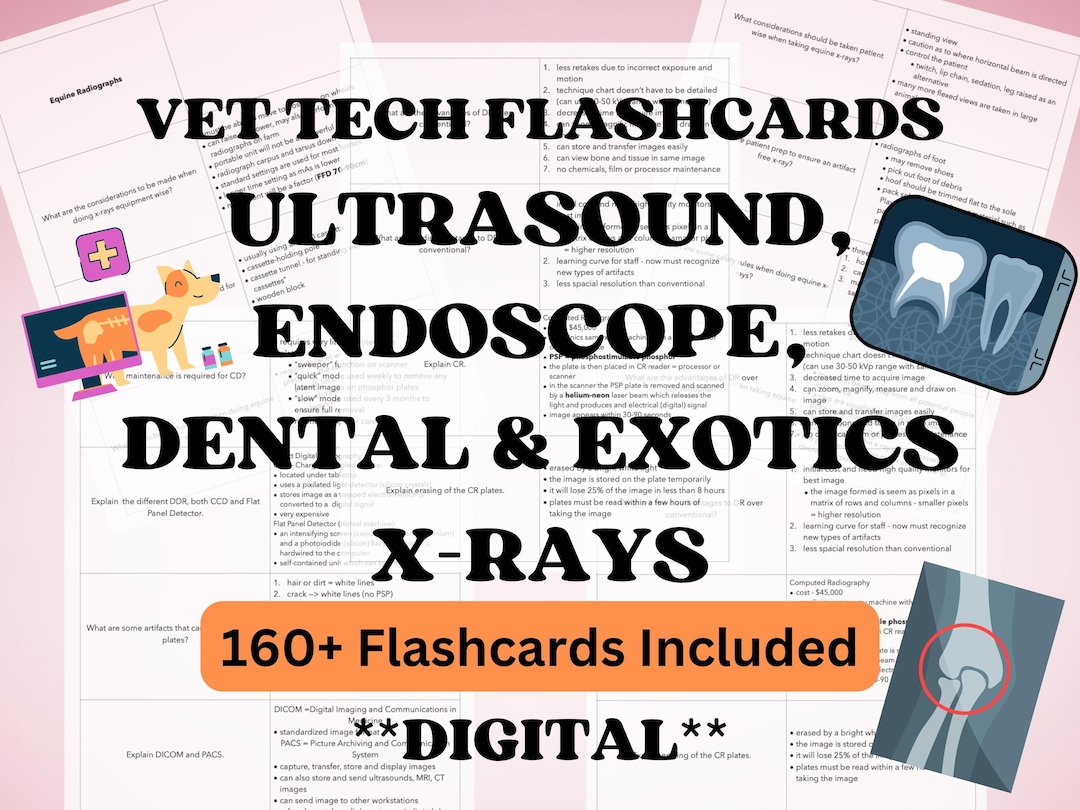 Vet Tech Diagnostic Imaging Part Two Flashcards, VTNE Prep, Radiology ...