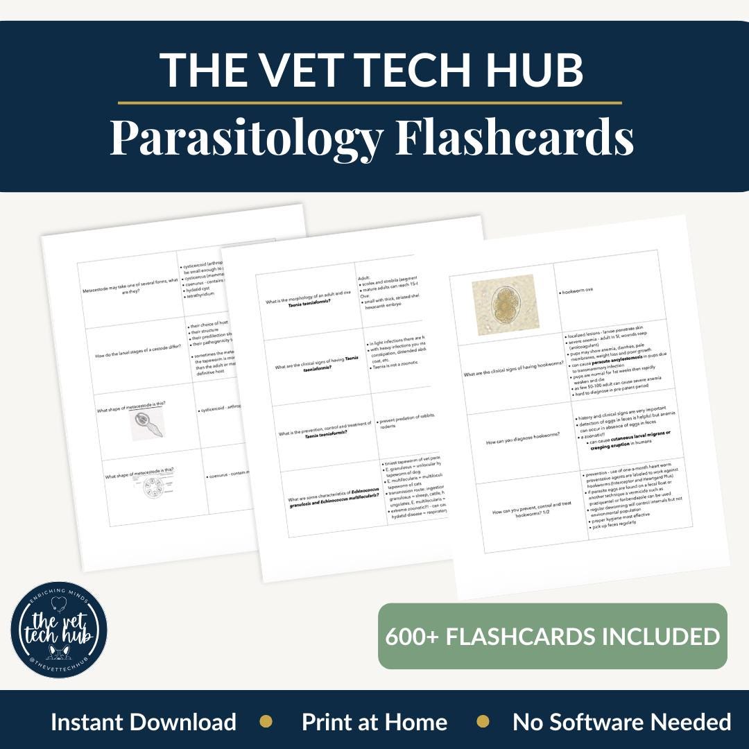 Parasitology Flashcards Vet Tech and Veterinary Students VTNE Prep ...