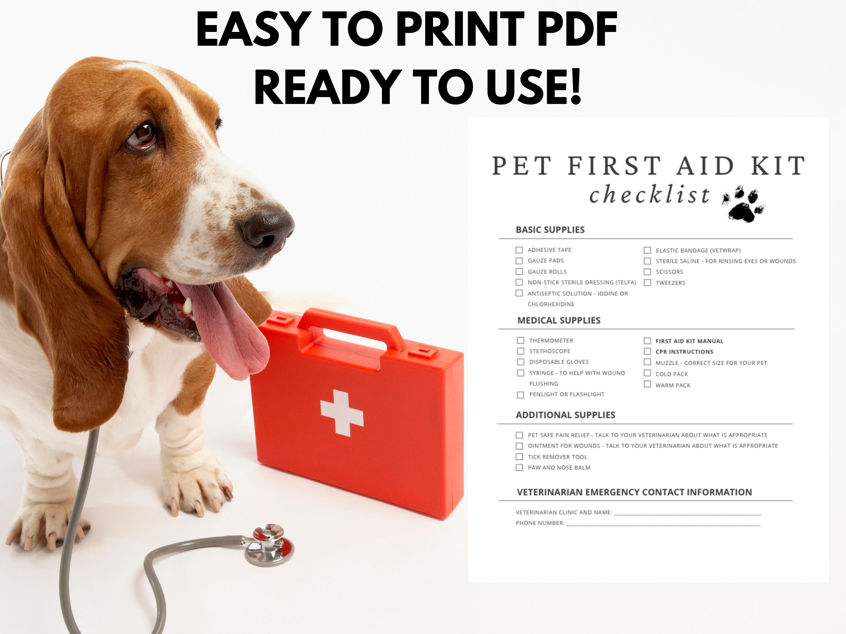Essential Pet First Aid Kit Checklist PDF, Animal Care, Groomer ...
