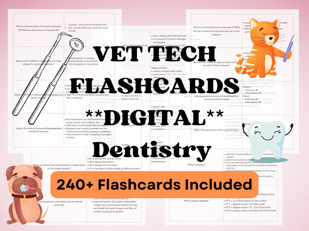 Vet Tech Dentistry Flashcards, Veterinary Medicine, Dental Anatomy ...