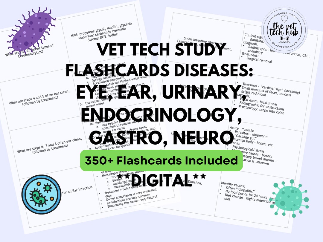 Vet Tech Animal Diseases Flashcards, Veterinary Medicine, VTNE ...