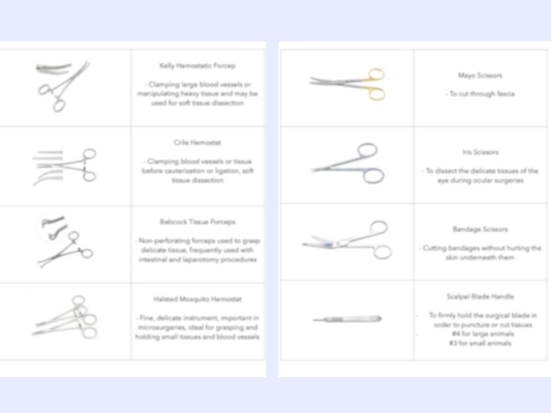 Veterinary & Human Medicine Basic Surgical Instrument Flashcards ...