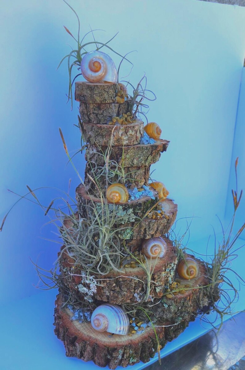 Custom Altar Tower With Live Oak, Spiral Shell & Crystal | Nature ...
