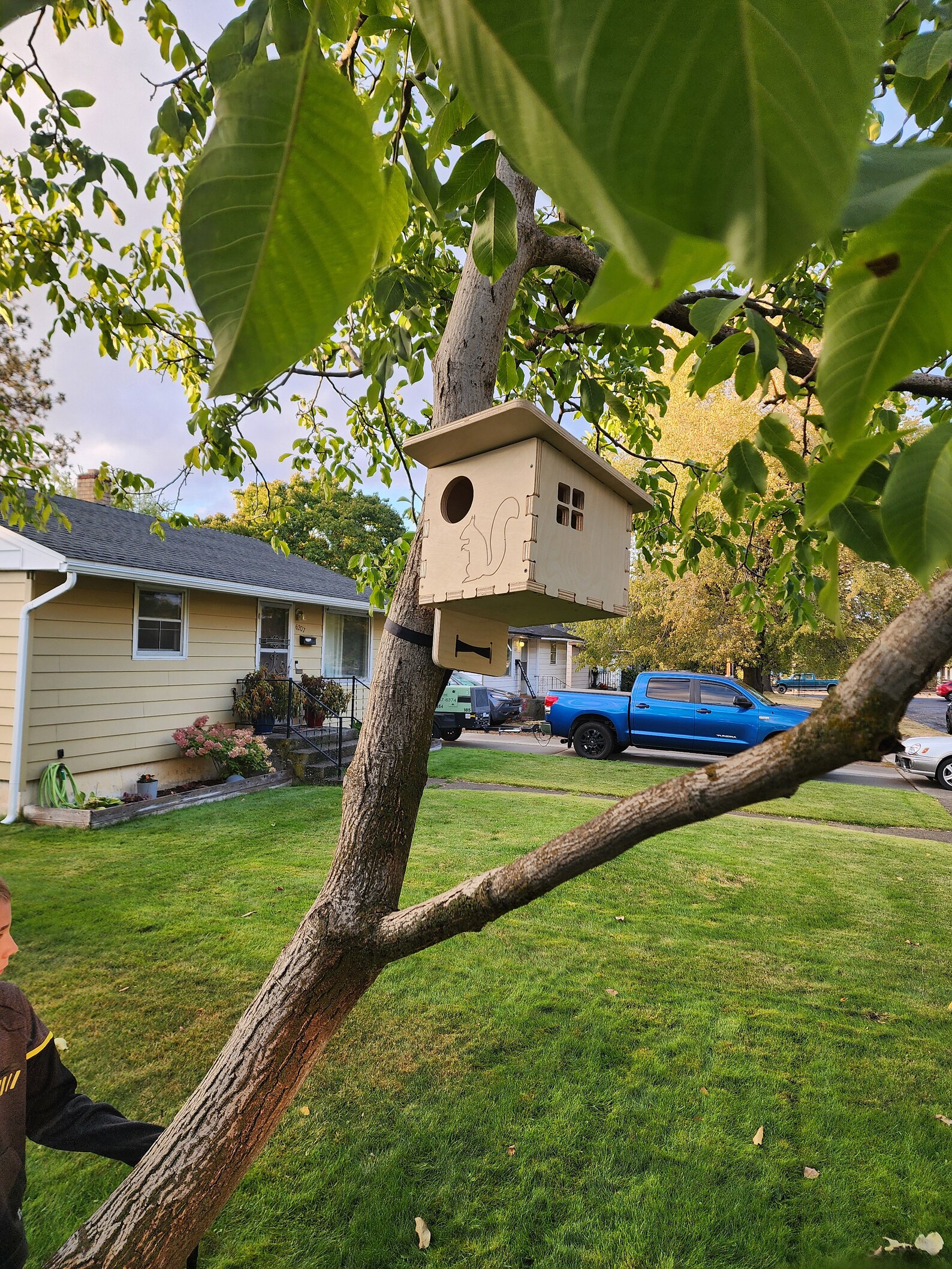 Squirrel House - Build It Yourself Kit - Etsy