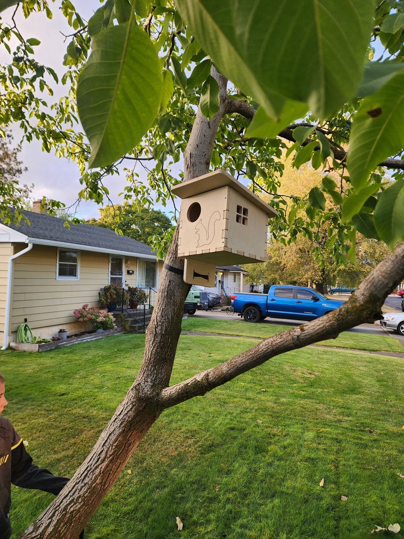 Squirrel Box House Build It Yourself Kit - Etsy