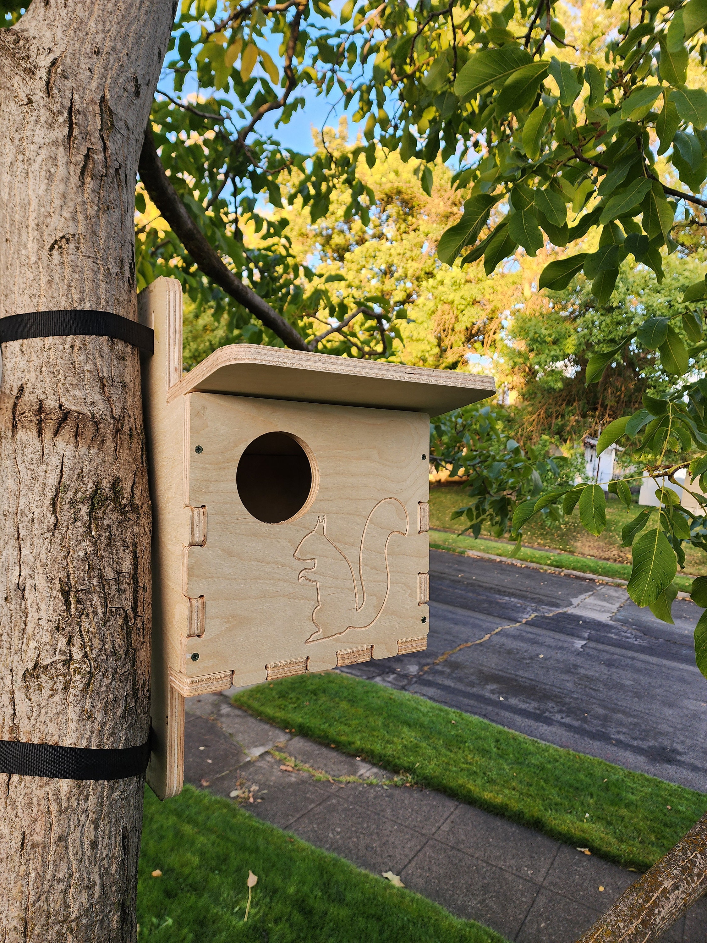 Squirrel House - Build It Yourself Kit - Etsy
