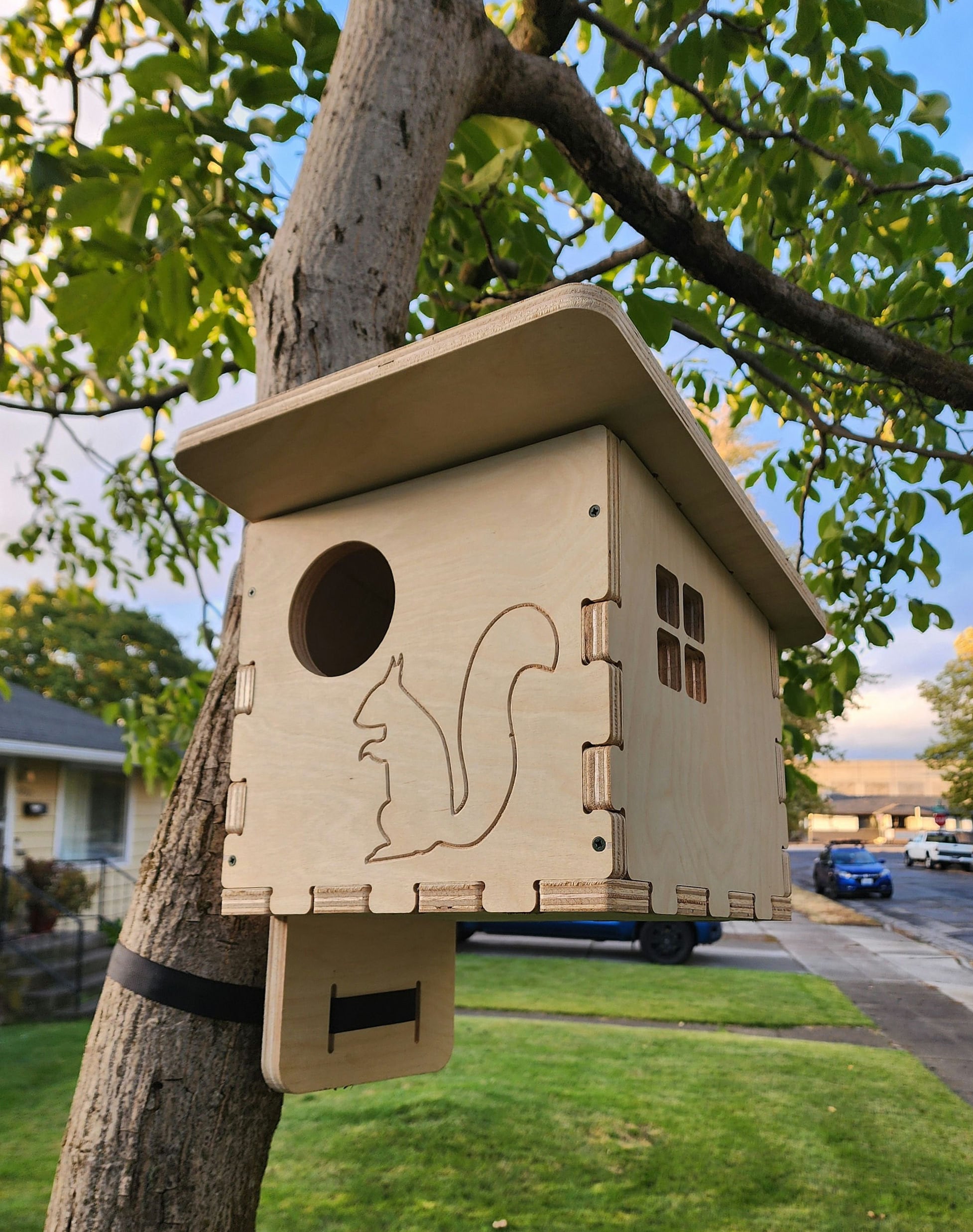 Squirrel House - Build It Yourself Kit - Etsy