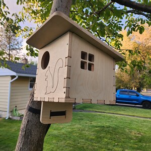 Squirrel House - Build It Yourself Kit - Etsy