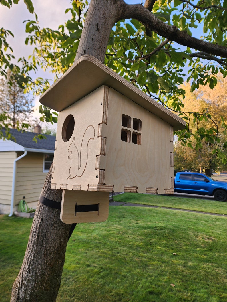 Squirrel Box House Build It Yourself Kit - Etsy
