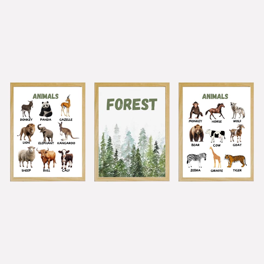 Animals Educational Posters , Kids Poster , Classroom Posters , Art ...