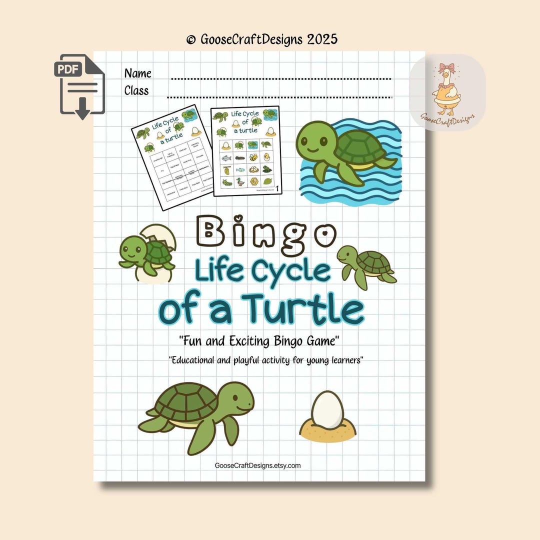 Bingo Life Cycle of a Turtle 2 Versions | Educational Game for Kids ...