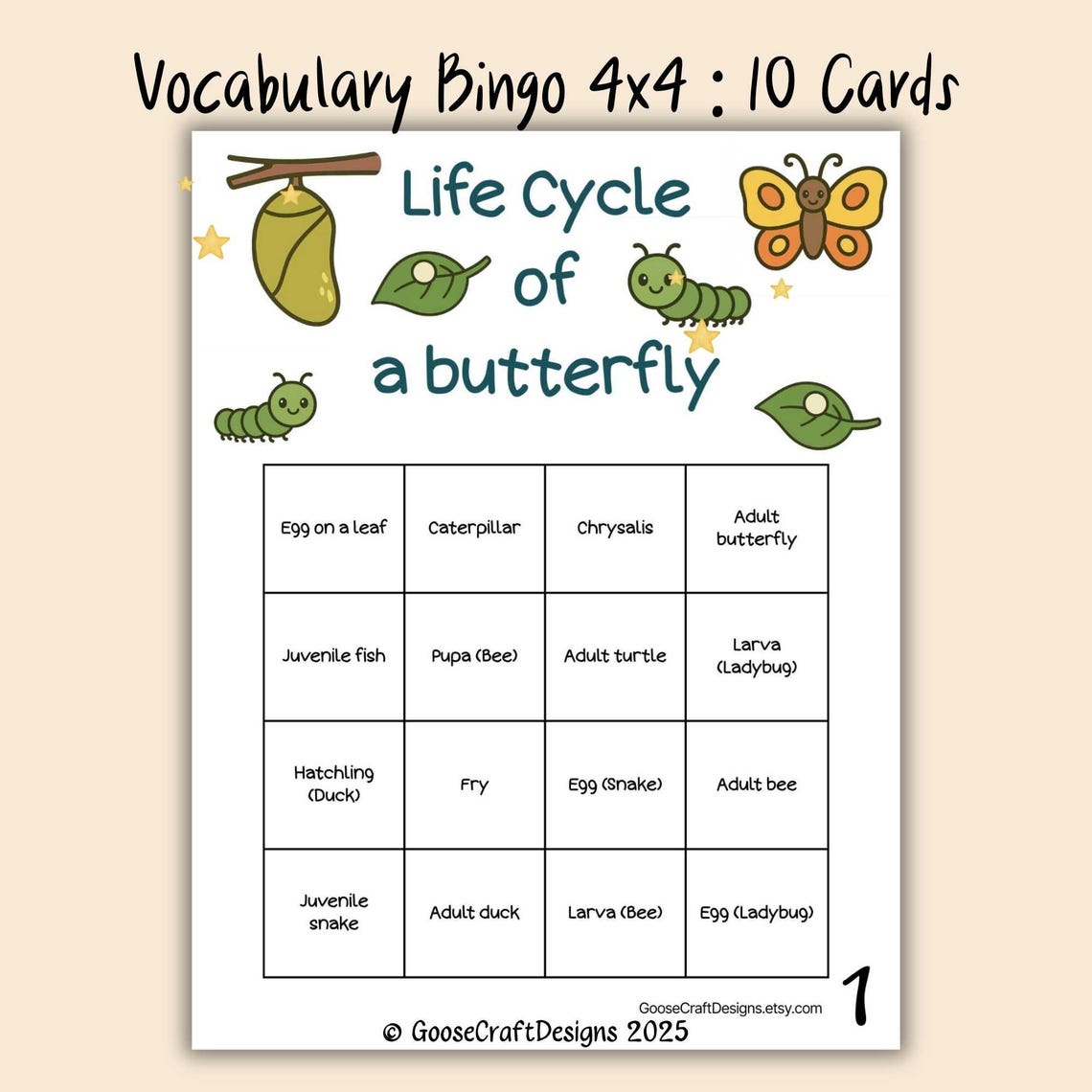 Bingo Life Cycle of a Butterfly | Educational Game for Kids | Science ...