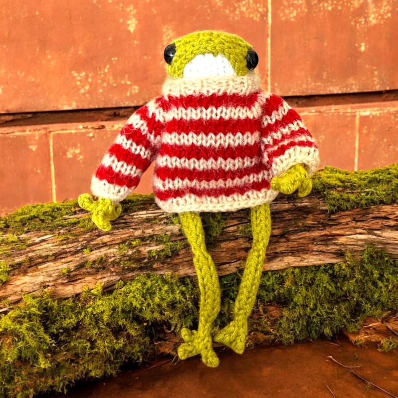 Frogs in Striped Sweater KNITTING KIT -everything You Need of Highest ...