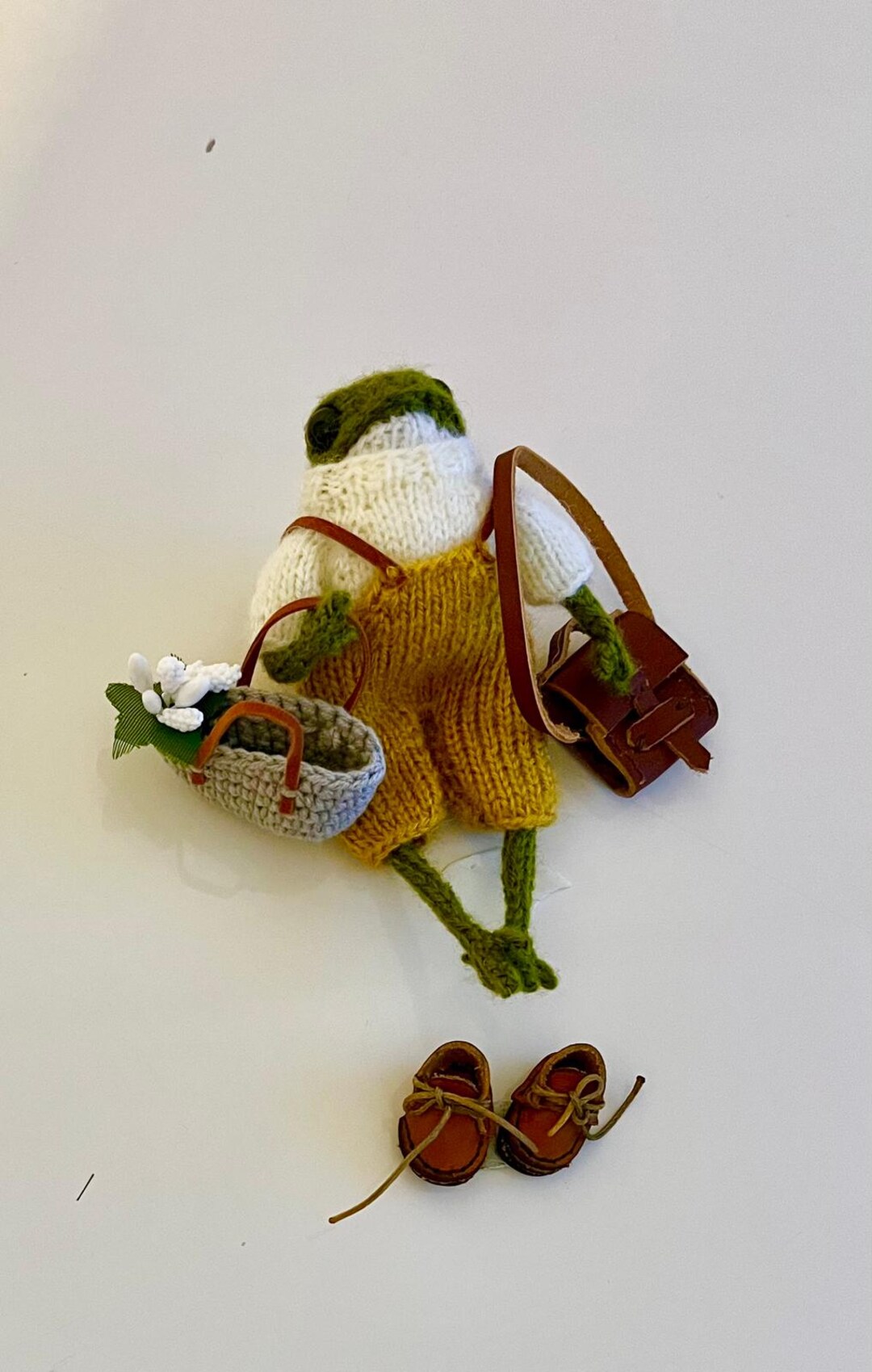 Amigurumi Frog,knitted Frog, Frog and Toad, Frog Plush, Custom Frog ...