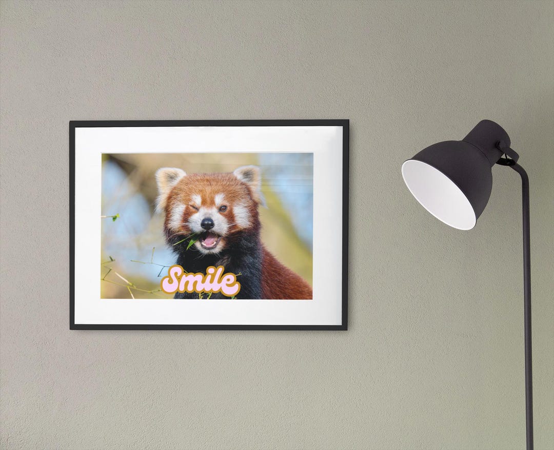 Red Panda Smiling - "smile" - Ideal Gift for the Red Panda Lover, Child ...