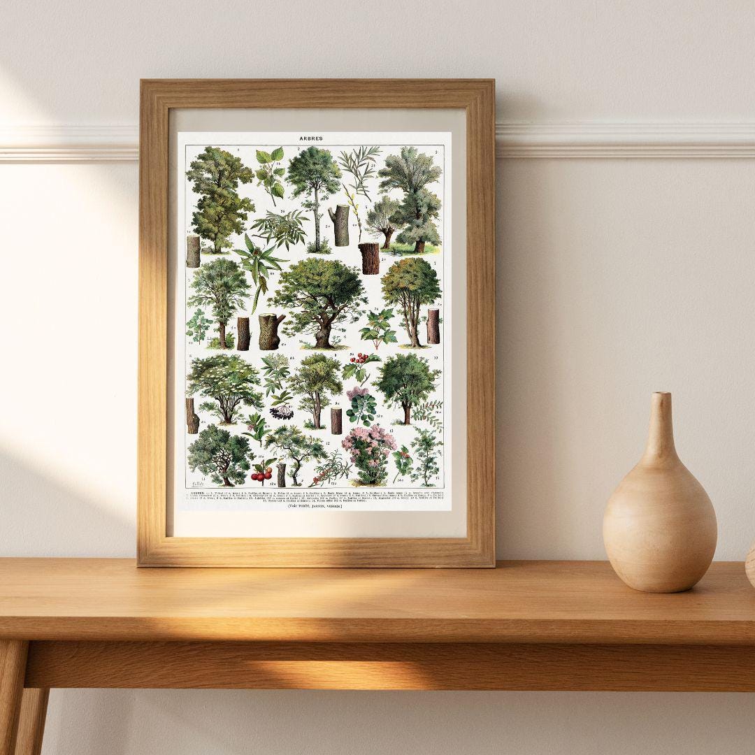 French Trees Forest Woods Rolled Posters Physical Product - Etsy