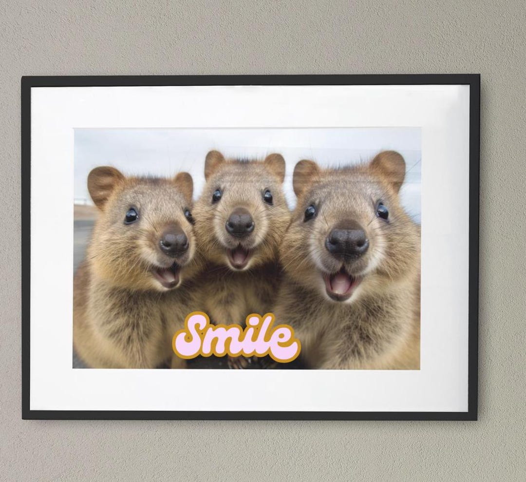 Smiling Quokka Poster - "smile" Print for Kid's Room (digital Download ...
