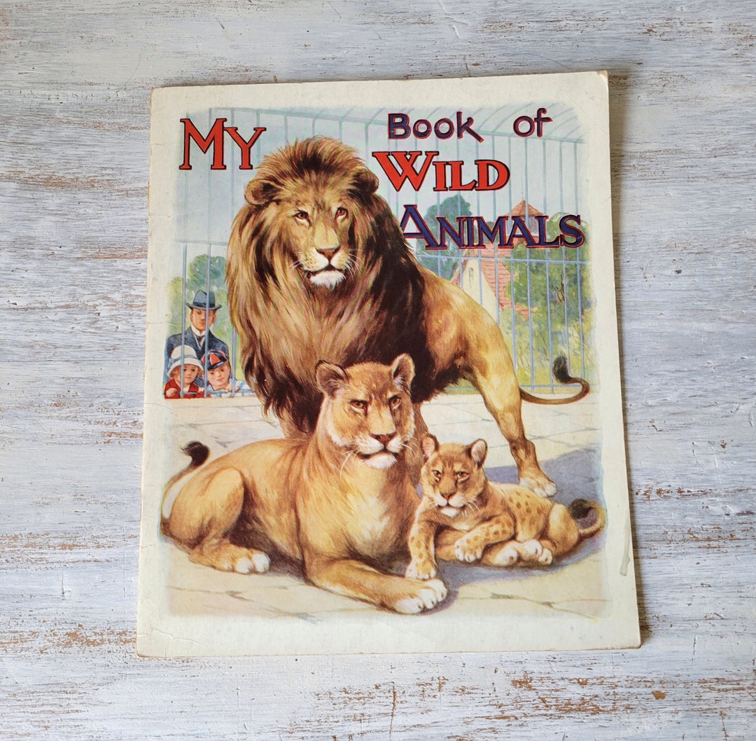Antique Wild Animals Beautiful Vintage Children's Book Samuel Gabriel ...