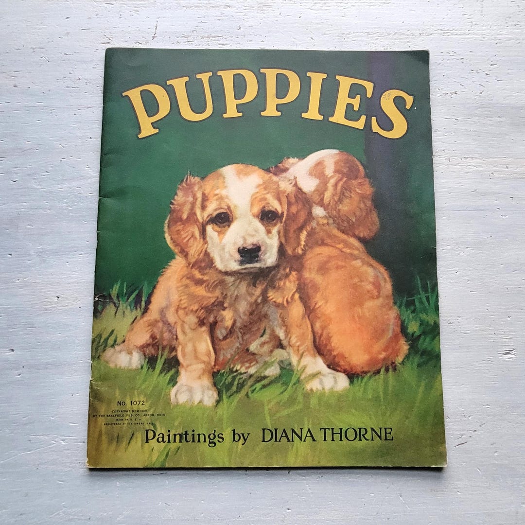 Vintage 1935 Puppies Children's Book Dogs Saalfield - Etsy