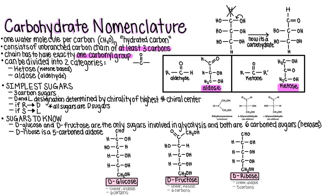 Biochemistry Notes: Enzyme Kinetics, Mechanisms and Inhibitors ...