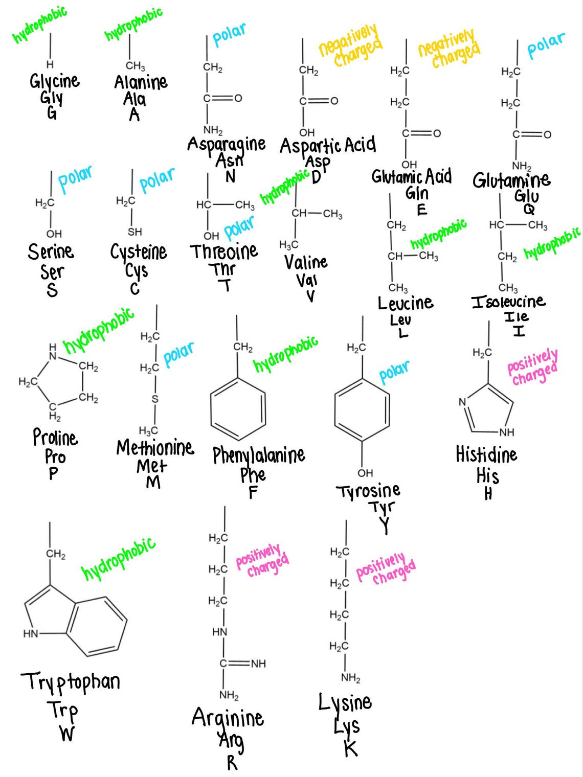 Biochemistry Notes: Biomolecules, Weak Interactions, Amino Acids ...