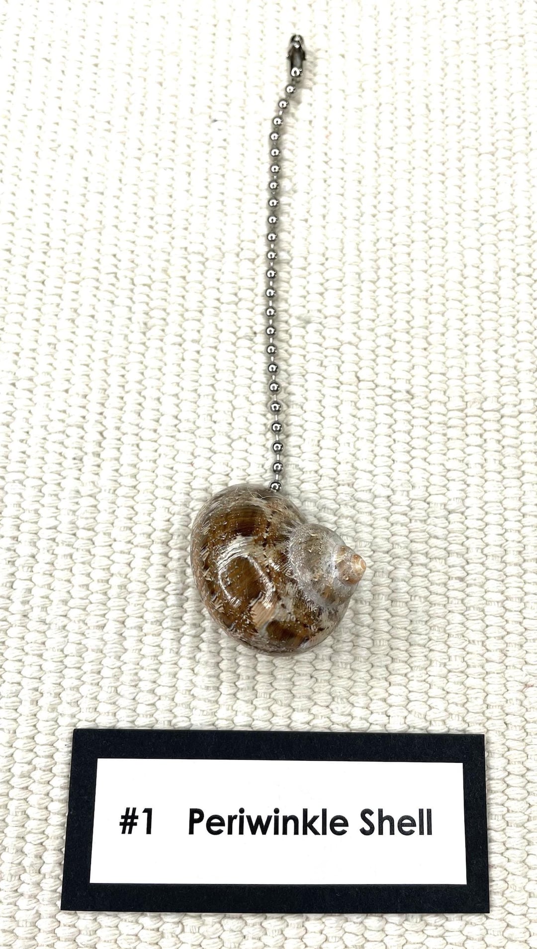 PERIWINKLE Shell FAN PULL Chain-seashell-ceiling Fan Pull Lamp ...