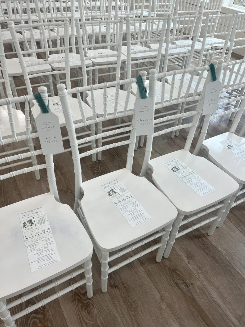 Infographic Wedding Program Template - Etsy