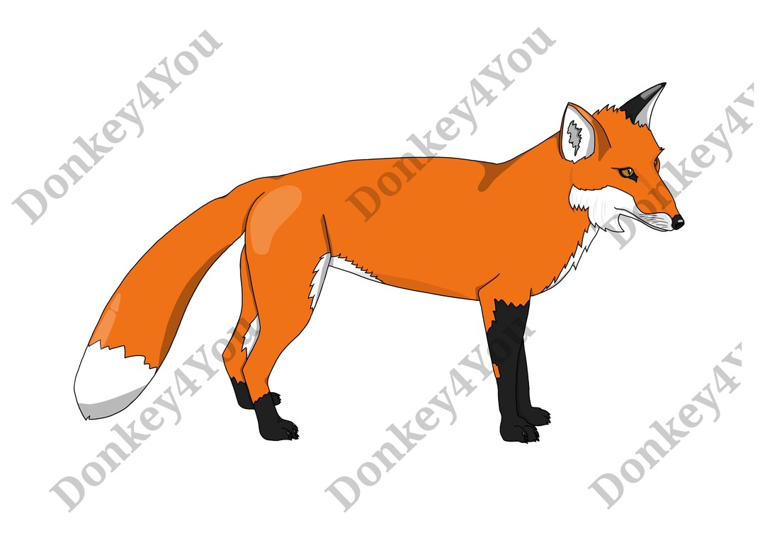 Red Fox / Fox Drawing / Illustration / Outline Drawing / Coloring Page ...