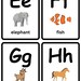 ABC & 123 Flash Cards | Kids Learning Printables (digital Download) - Etsy