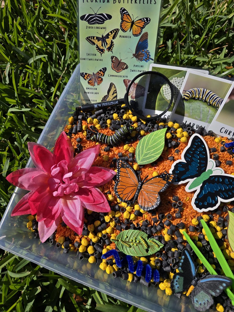 Butterfly Life Cycle Sensory Bin Filler, Montessori Learning Resource ...
