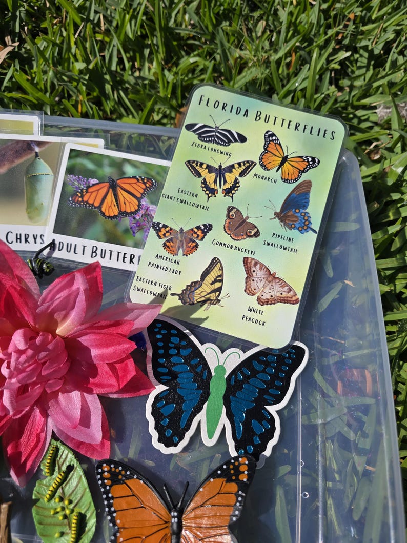 Butterfly Life Cycle Sensory Bin Filler, Montessori Learning Resource ...
